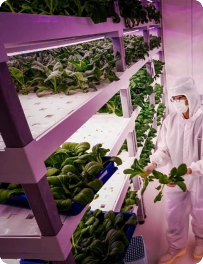 Vertical Farms | Affinity Tech